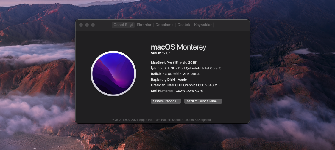 [Başarılı Kurulum] Monterey / Monster Abra A5 - OpenCore - osxinfo.net ...